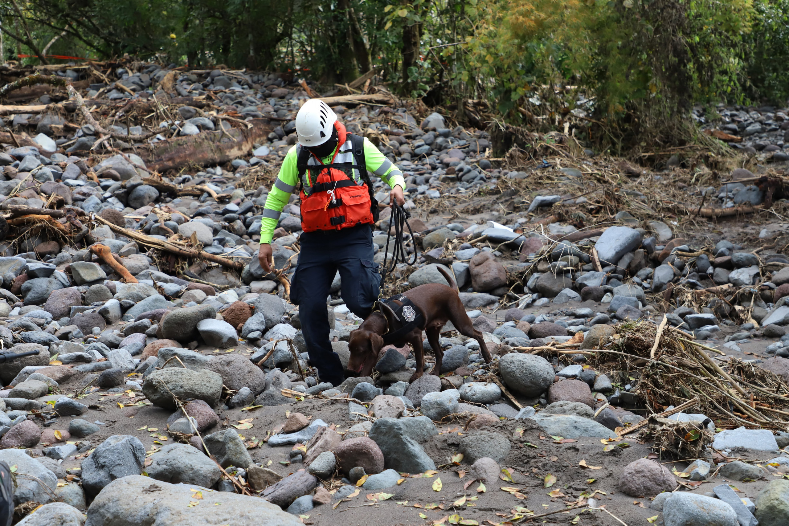 Sinaproc – Sitio Oficial de Sinaproc Panamá