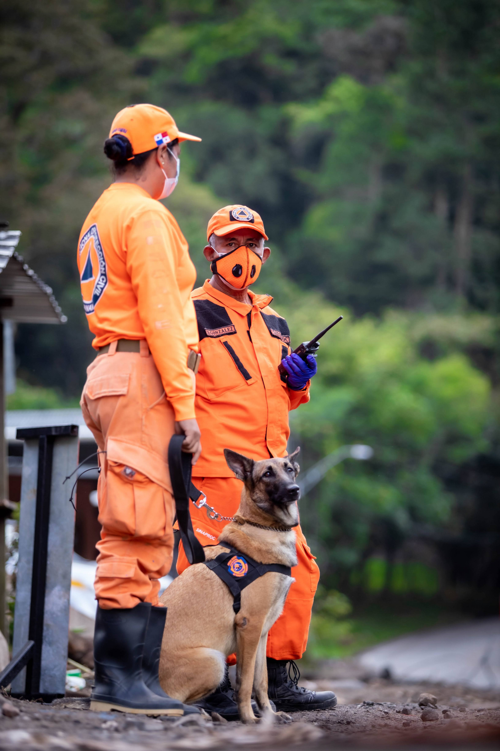 Sinaproc – Sitio Oficial de Sinaproc Panamá