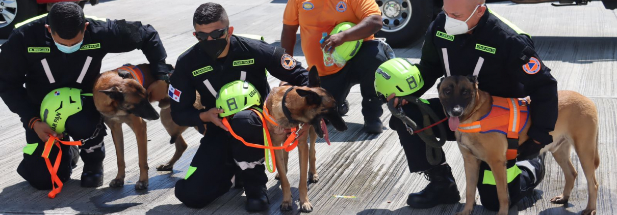 Sinaproc – Sitio Oficial de Sinaproc Panamá