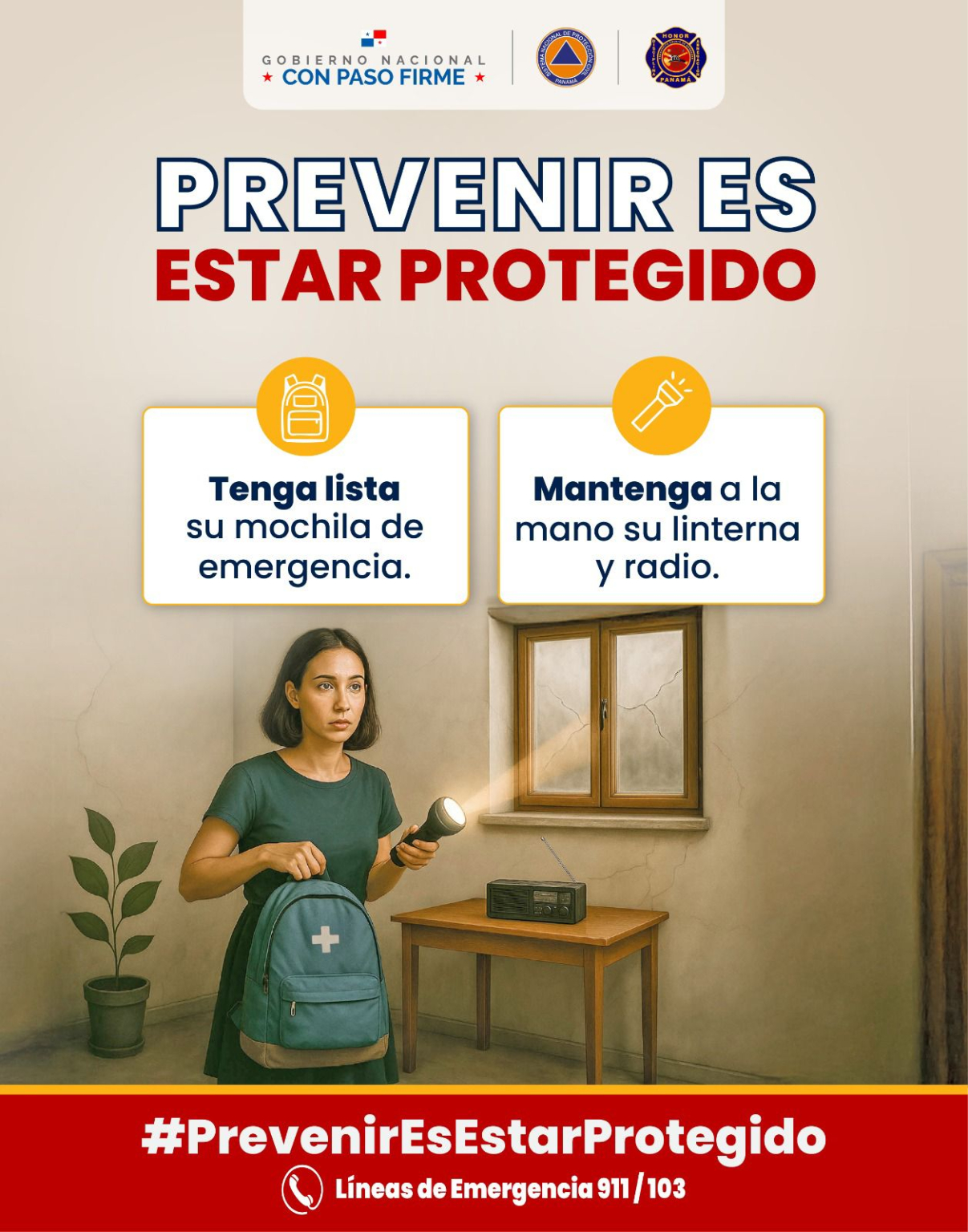 Sistema Nacional de Protección Civil - Sinaproc